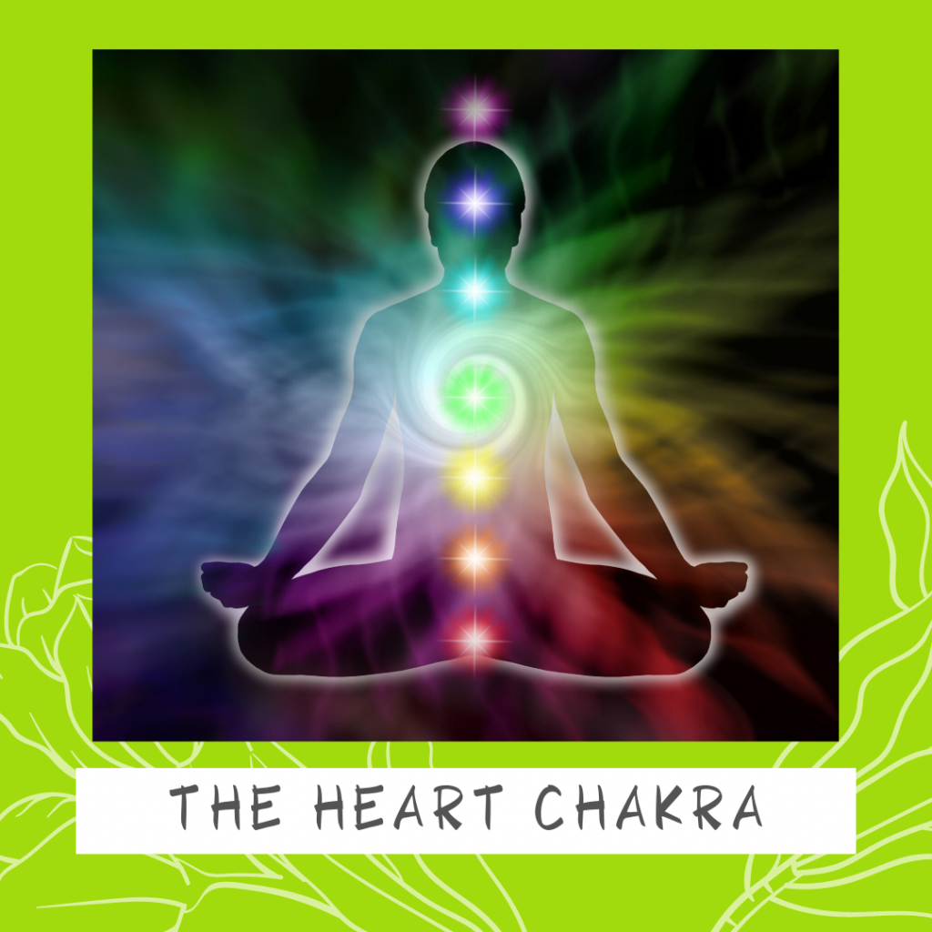 The Chakras: Seven Wheels A Spinning - I Am Zuri