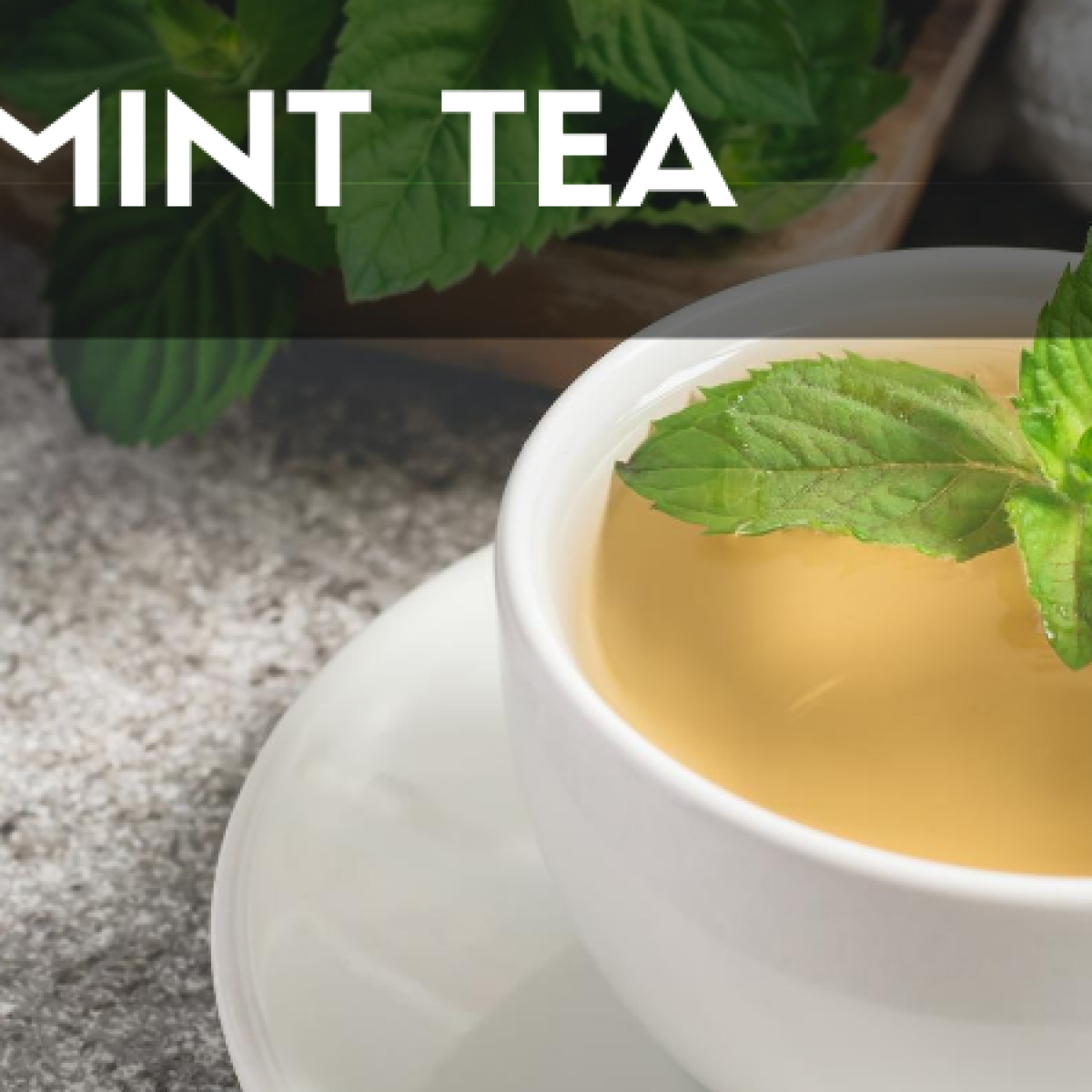 Organic Mint Tea Recipe - I Am Zuri
